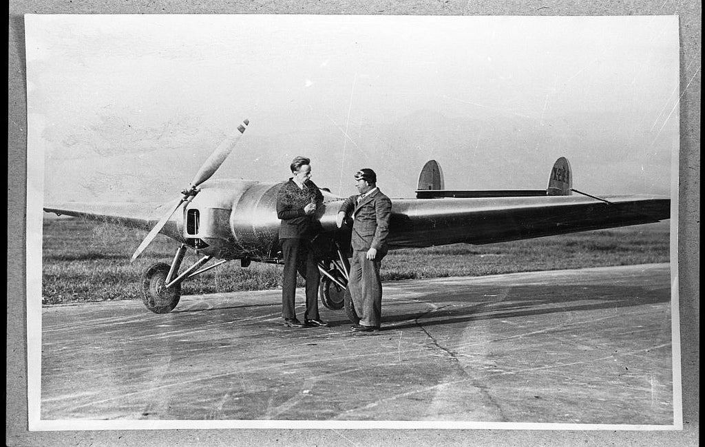 1920s Hamilton Standard Menasco Engine Northrop EX1 Propeller Blades ...